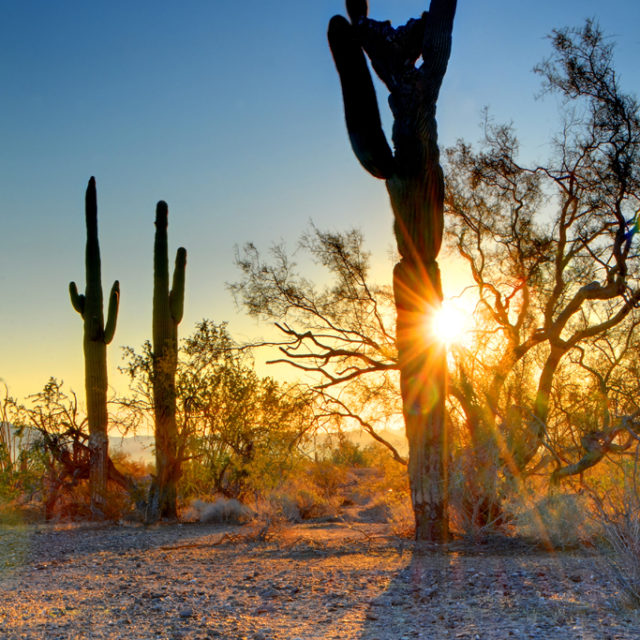 December Desert Sunrise | Caryn Esplin | Fine Art Photography