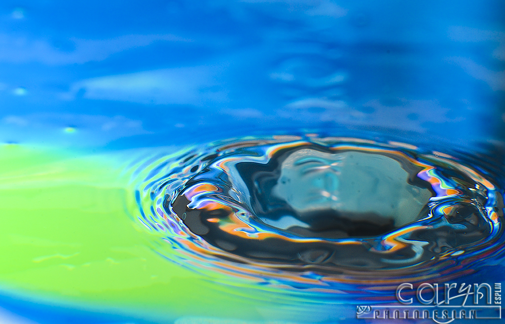 Water Drops: 7 Fascinating Stages | Caryn Esplin | Fine Art Photography
