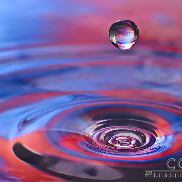 Water Drops: Stages 6 & 7 – Coil and Bubble | Caryn Esplin | Fine Art ...