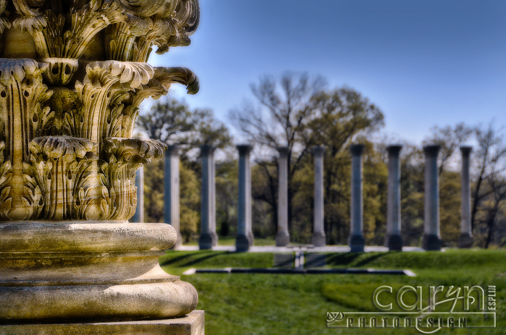 US Capitol Columns at the National Arboretum | Caryn Esplin | Fine Art ...