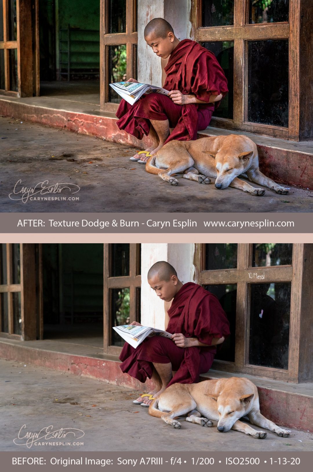 ENLIGHTEN TOUR 2020 - Myanmar - Novice Monk & Dog | Caryn Esplin | Fine ...
